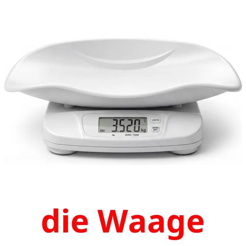 19 FREE Baby things Flashcards | PDF | German Words