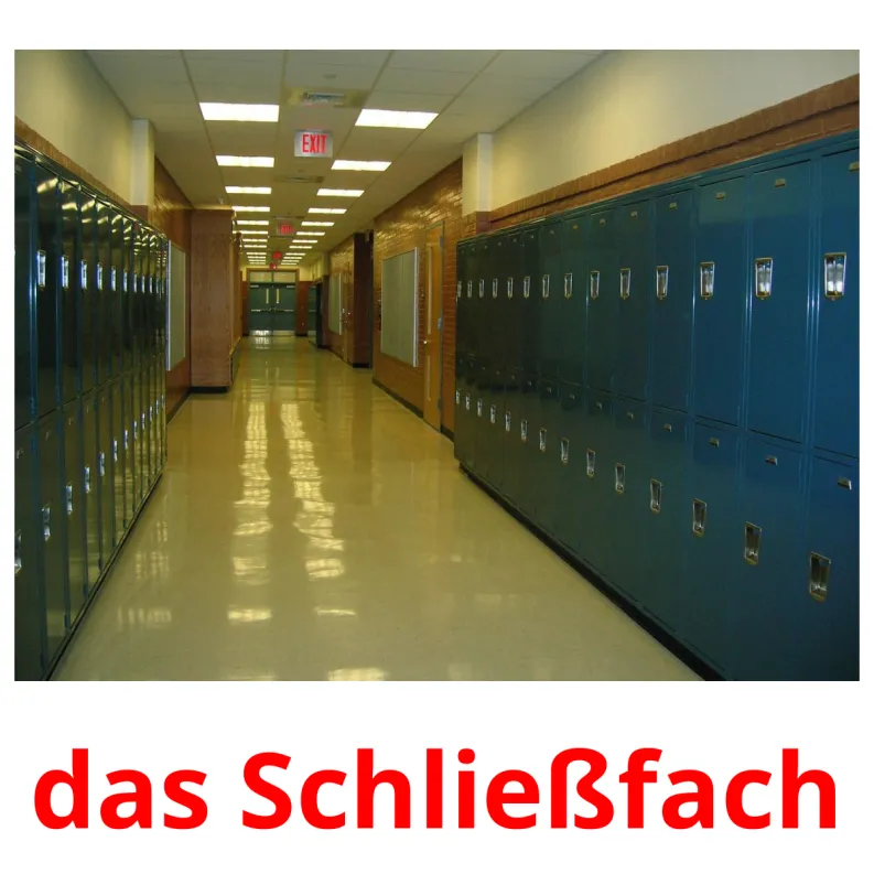53 FREE German School Flashcards | PDF