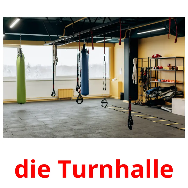 17 FREE School building Flashcards | PDF | German Words