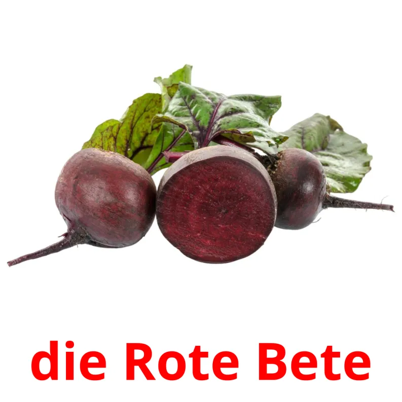 29 FREE Vegetables Flashcards | PDF | German Words