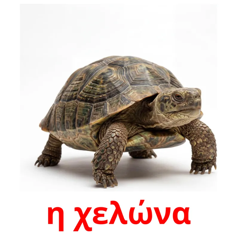 134 FREE Animals Flashcards in Greek | 4 Printable PDFs