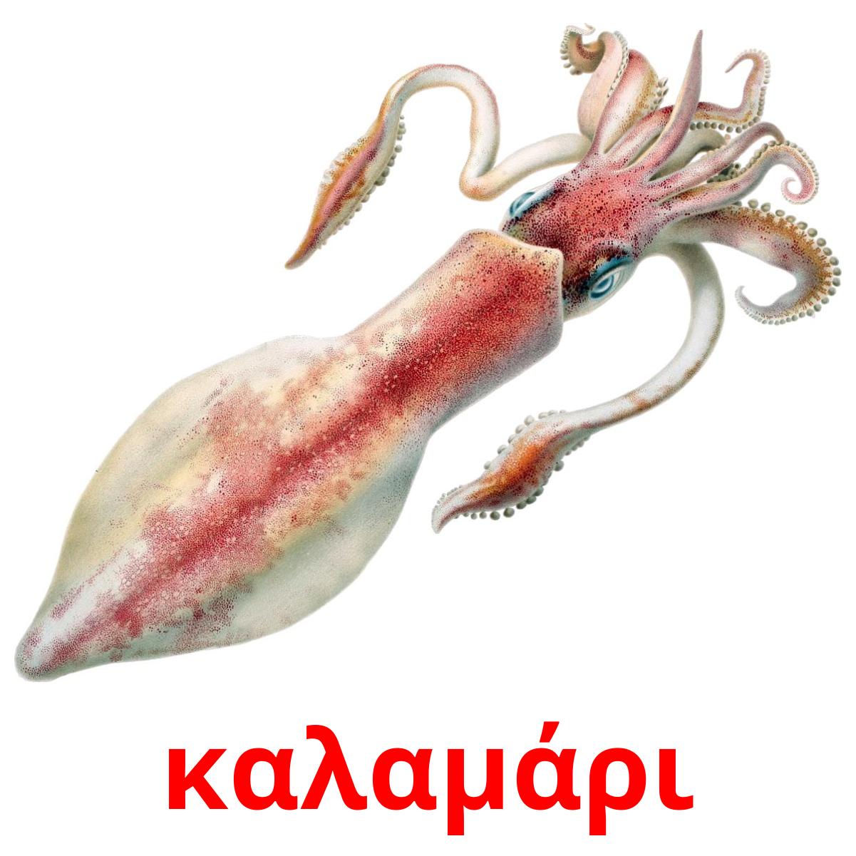 30 Printable Sea animals Flashcards in Greek (Free PDF)