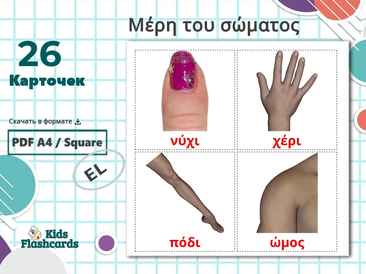 26 Бесплатных Карточек Части тела на Греческом | PDF