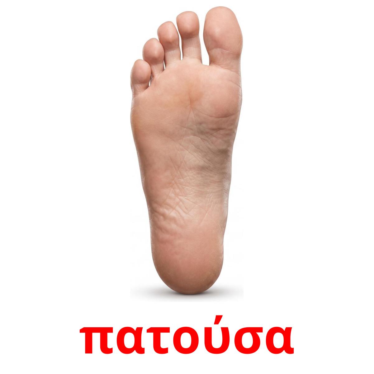 26 Printable Body Parts Flashcards in Greek (Free PDF)