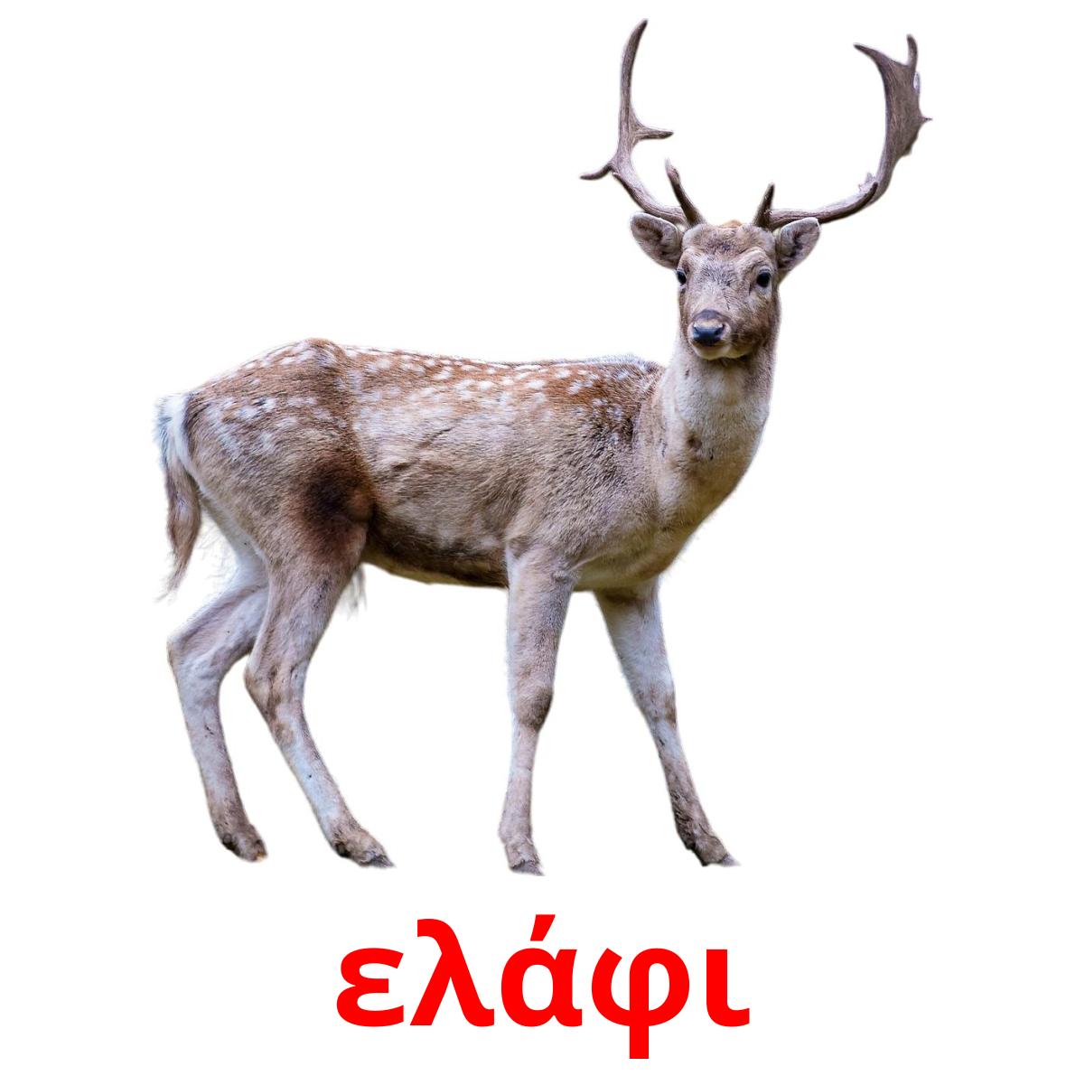 23 Printable Forest animals Flashcards in Greek (Free PDF)