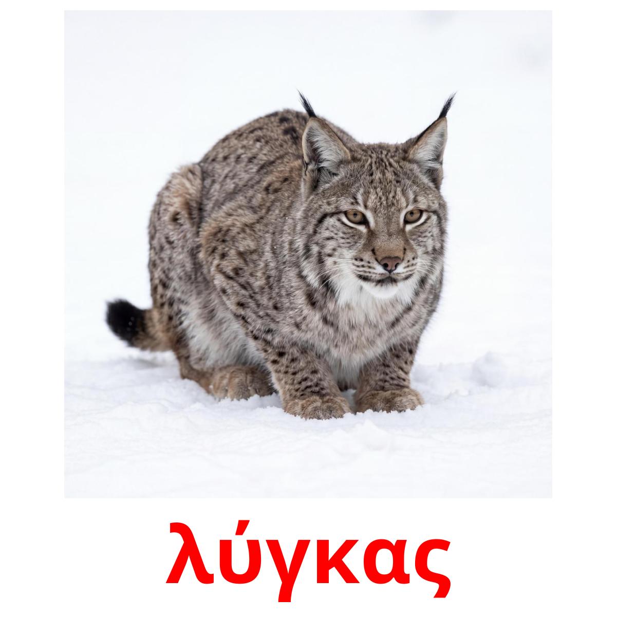 23 Printable Forest animals Flashcards in Greek (Free PDF)