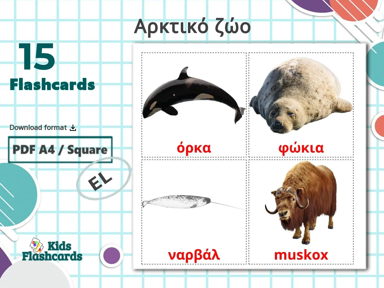 15 Printable Arctic animals Flashcards in Greek (Free PDF)
