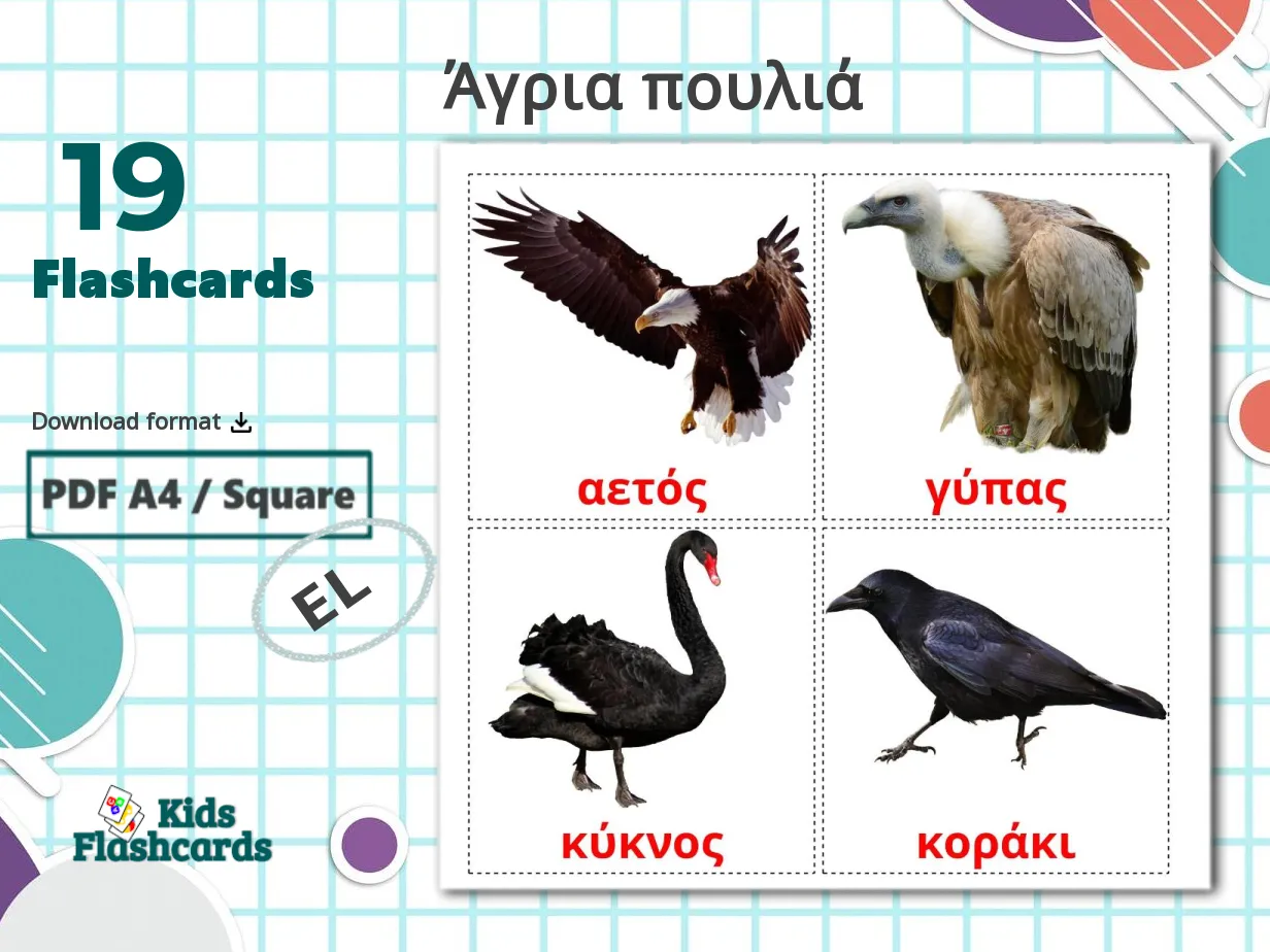 19 Printable Wild birds Flashcards in Greek (Free PDF)