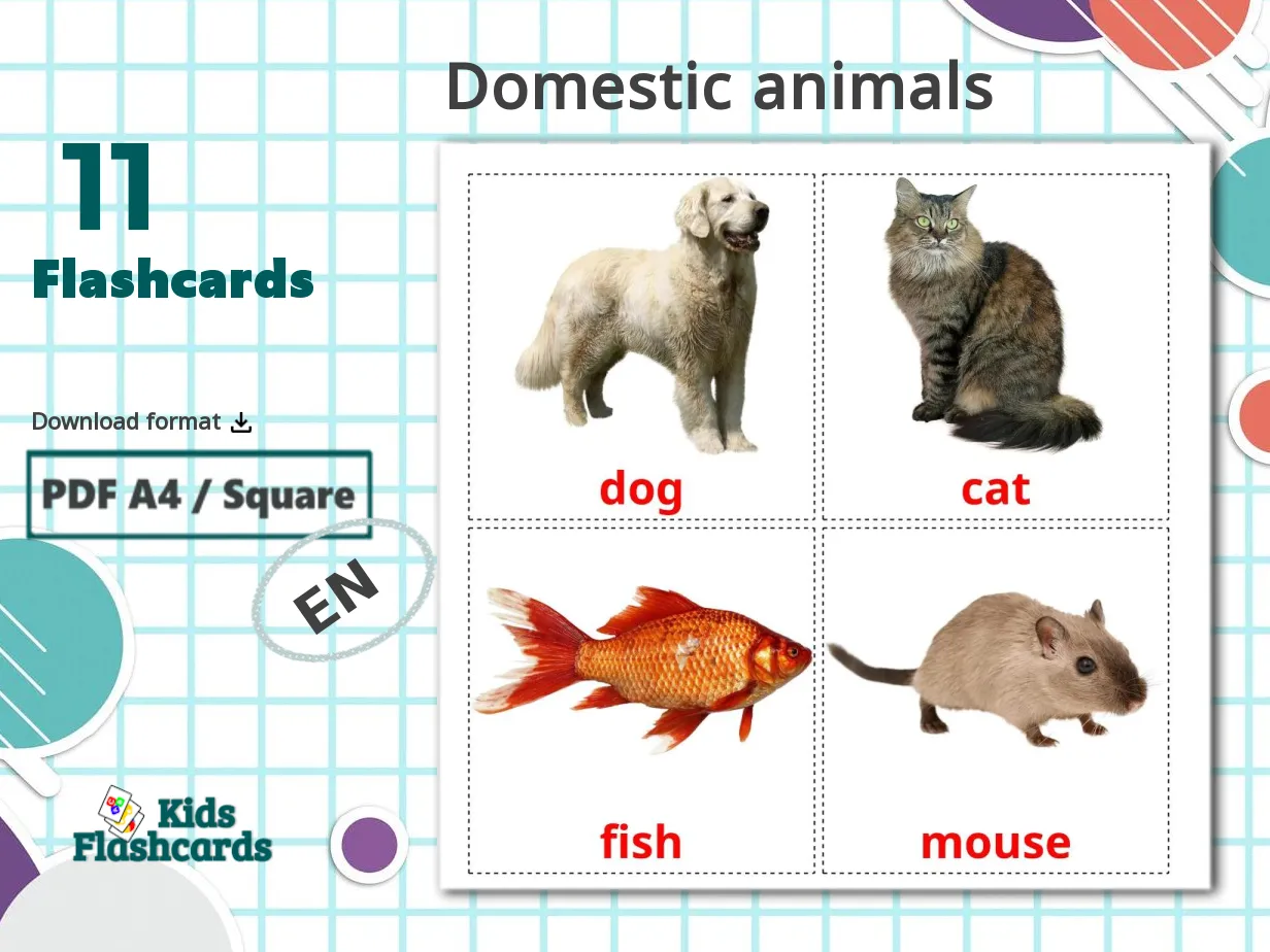 11 Printable Domestic animals Flashcards in English (Free PDF)