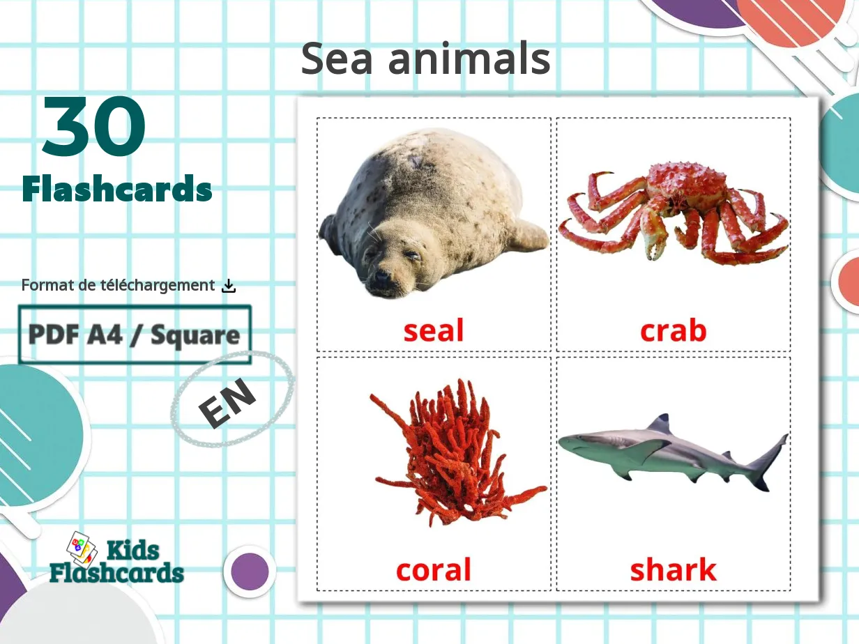 30 Cartes de Vocabulaire pour Enfants GRATUITES Les Animaux Marins à ...