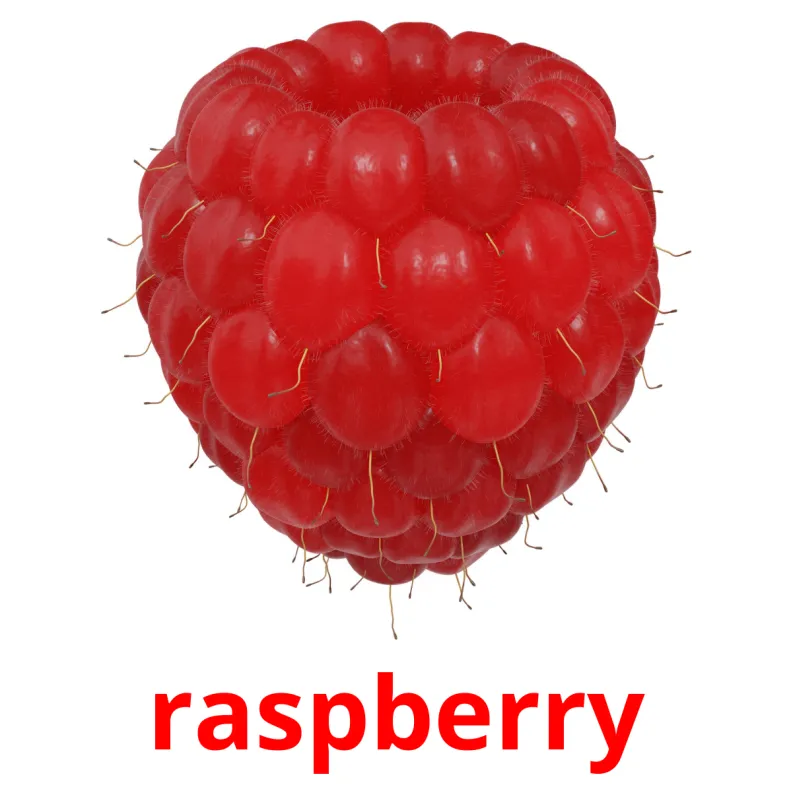 11 FREE Berries Flashcards | PDF | English Words