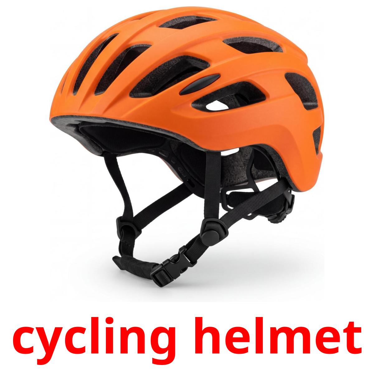 16 Free Bicycle transport Flashcards in english (PDF files)