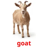 15 Free Farm animals Flashcards in english (PDF files)