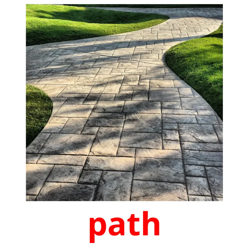 18 FREE Garden Flashcards | PDF | English Words