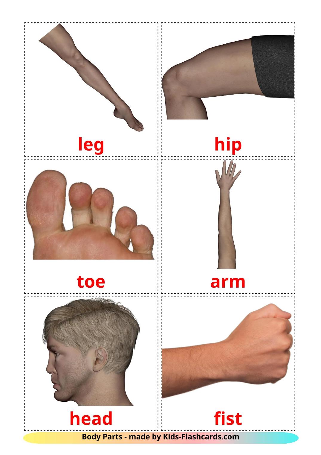 Yukar da Etiket Kavun Body Parts Flashcards For Preschoolers 