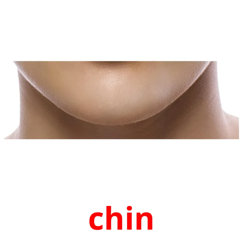 20 imagiers Parties du Visage GRATUIT à imprimer en Anglais | PDF