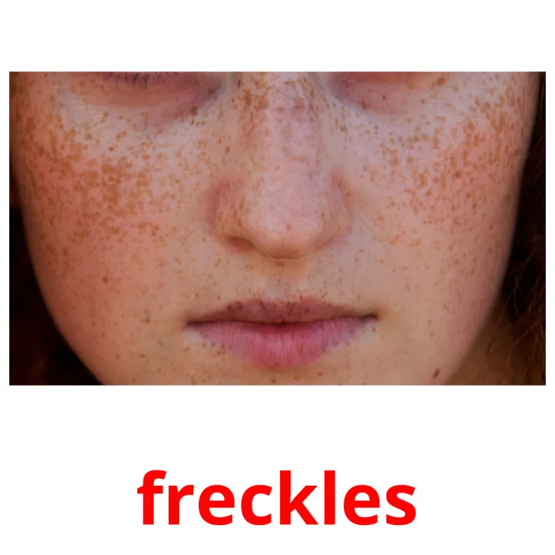 20 FREE Face Flashcards | PDF | English Words