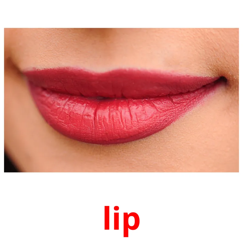 20 FREE Face Flashcards | PDF | English Words