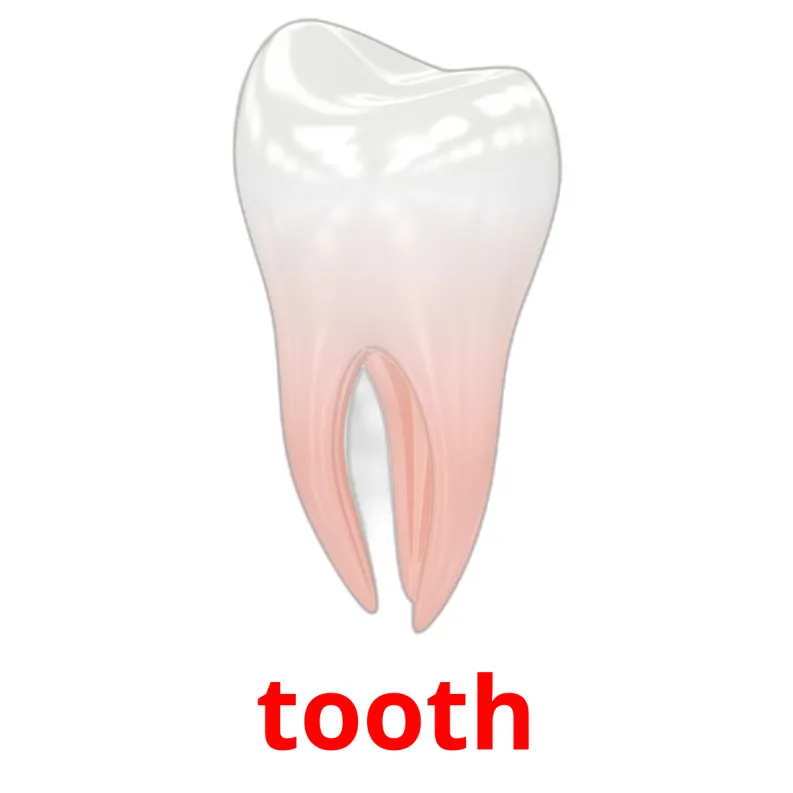 20 imagiers Parties du Visage GRATUIT à imprimer en Anglais | PDF