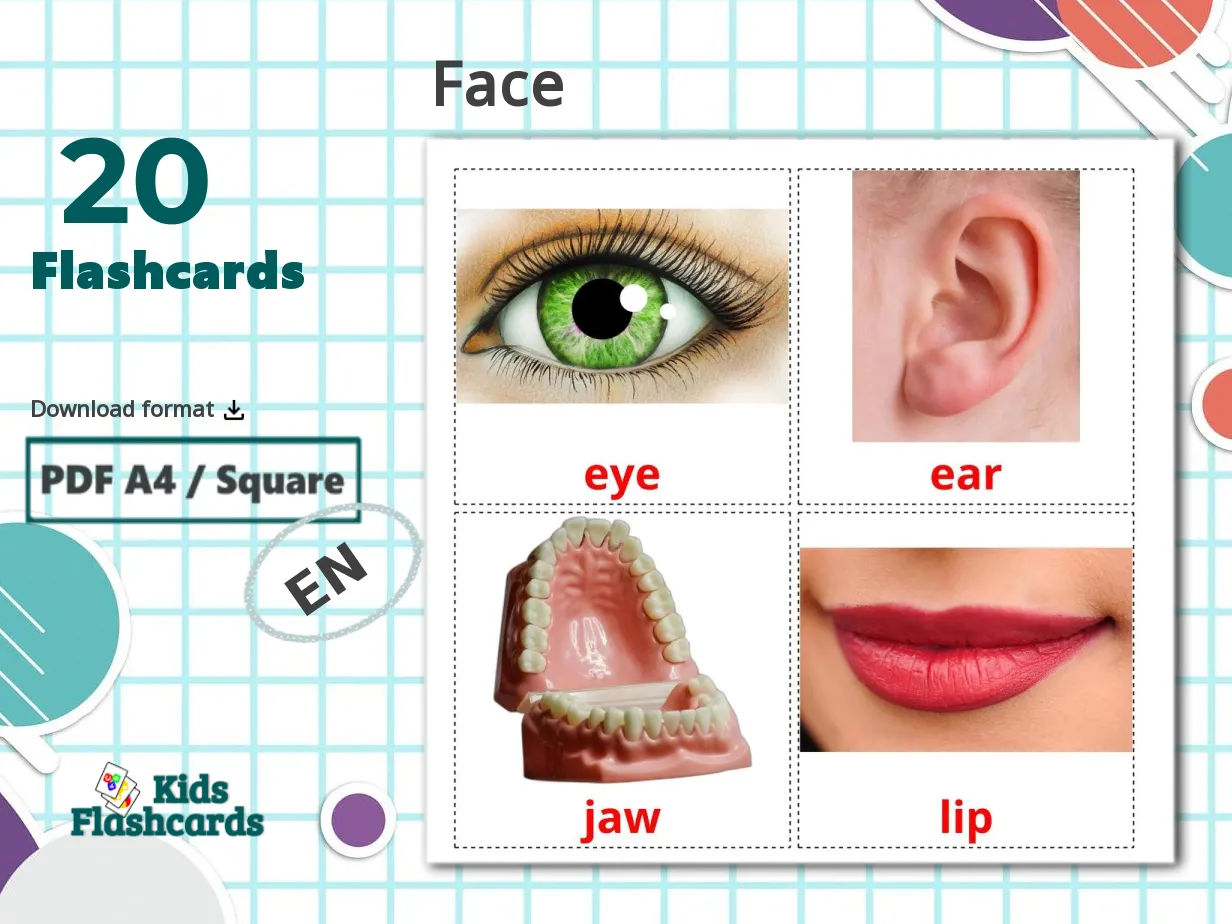 20 Printable Face Flashcards in English (Free PDF)