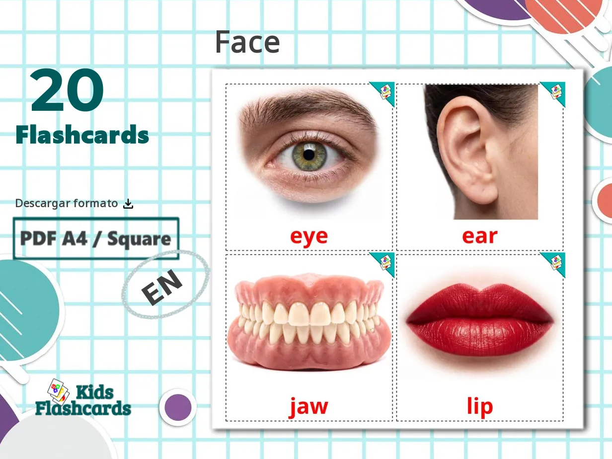 20 Tarjetas de Aprendizaje de Partes de la Cara GRATIS en PDF ...