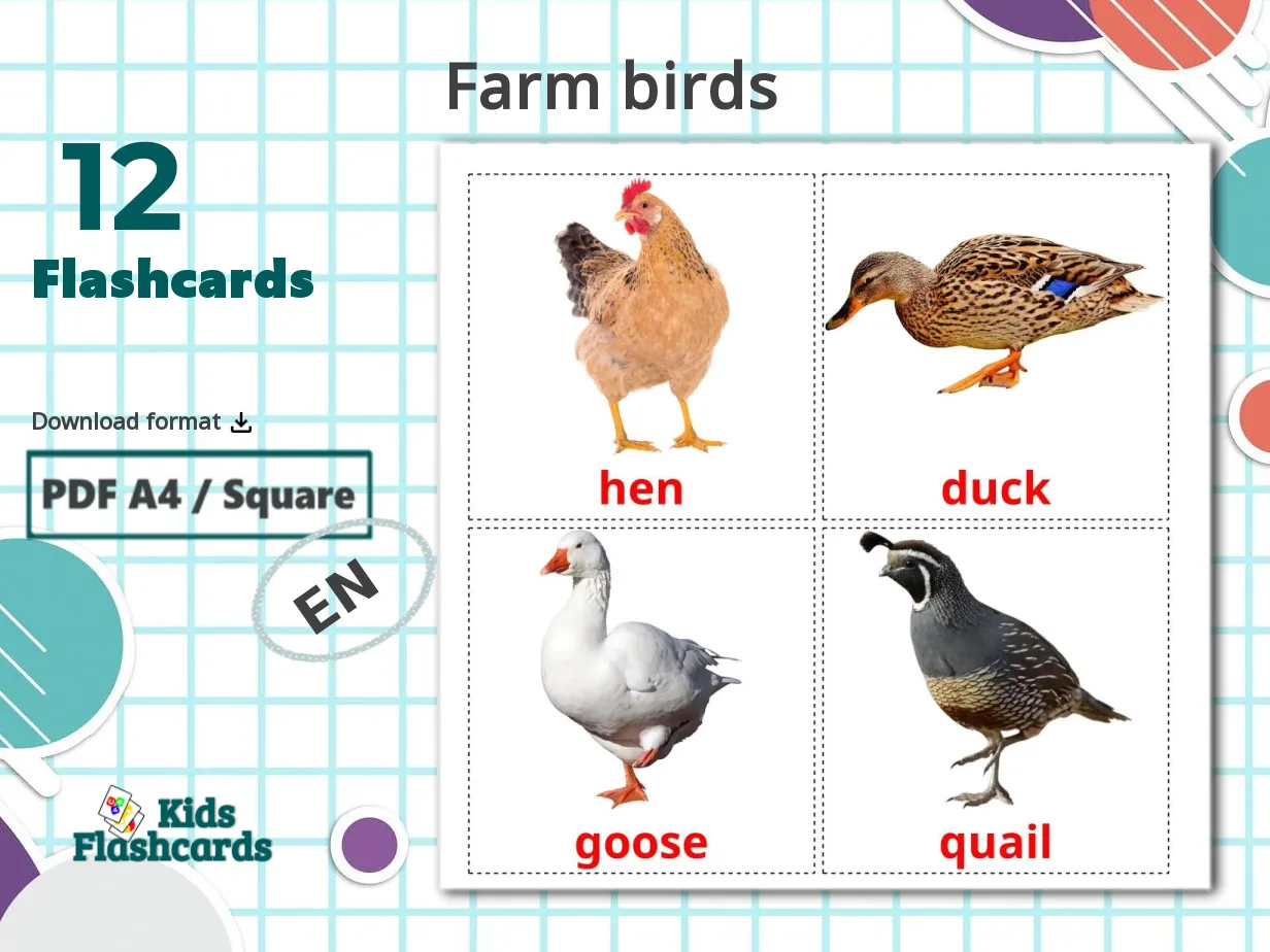 12 Printable Farm birds Flashcards in English (Free PDF)