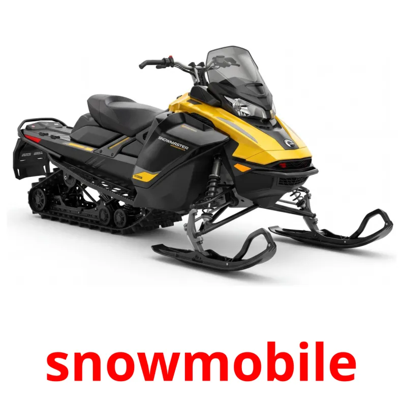 12 FREE Motorcycles Flashcards | PDF | English Words