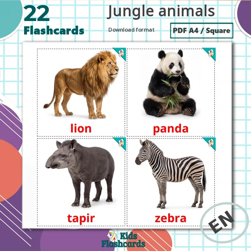 Printable Zoo Flash Cards