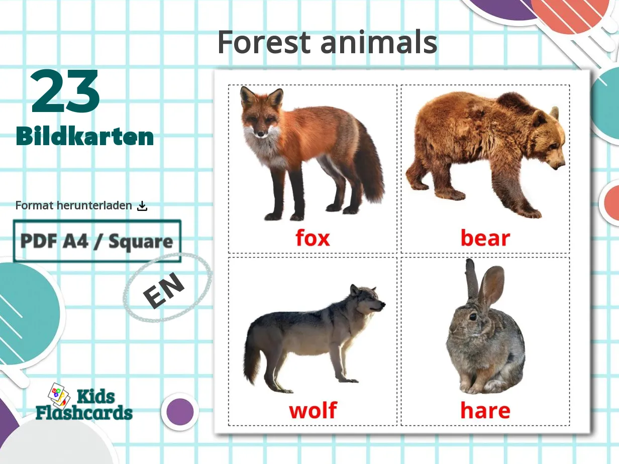 23 Printable Waldtiere Flashcards in Englisch (Free PDF)
