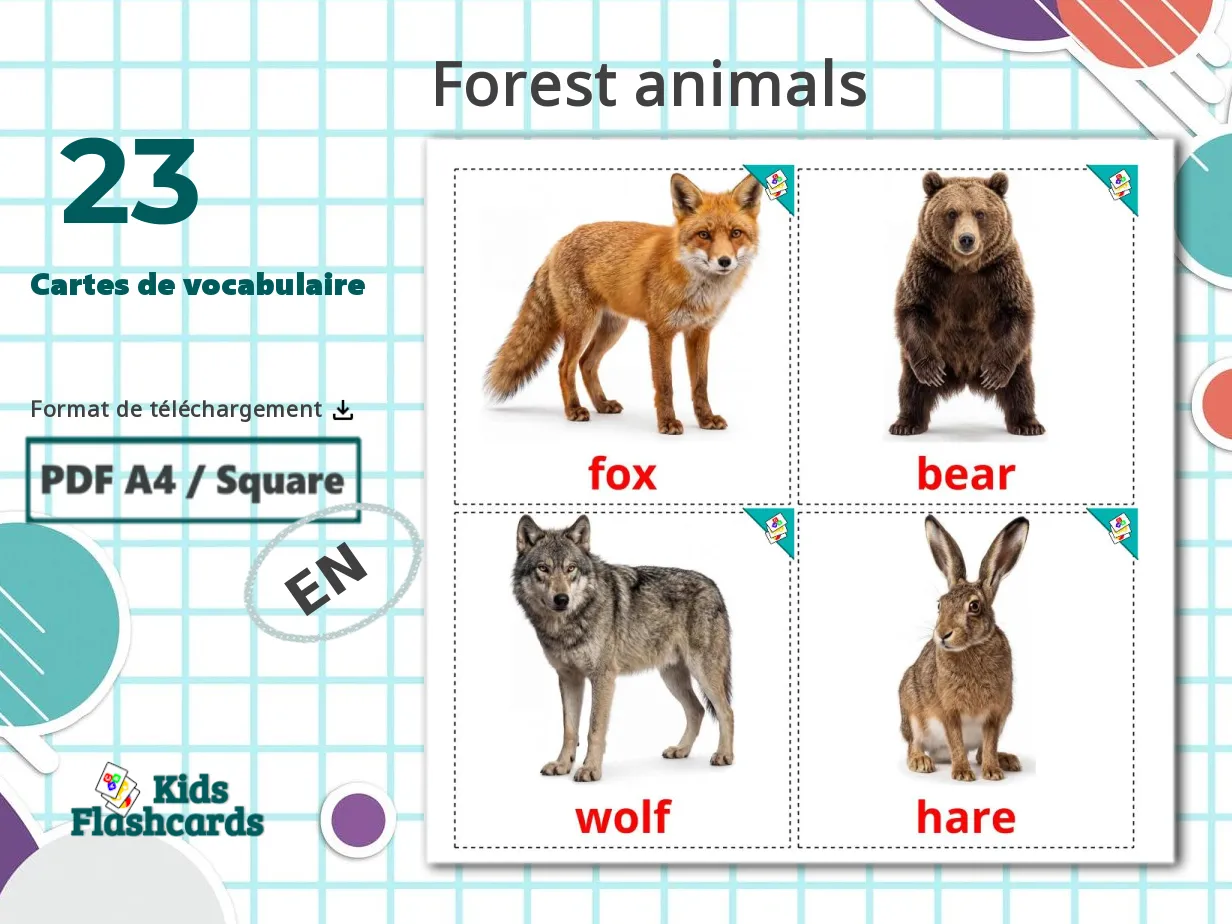 23 Cartes de Vocabulaire pour Enfants GRATUITES Les Animaux de la Forêt ...