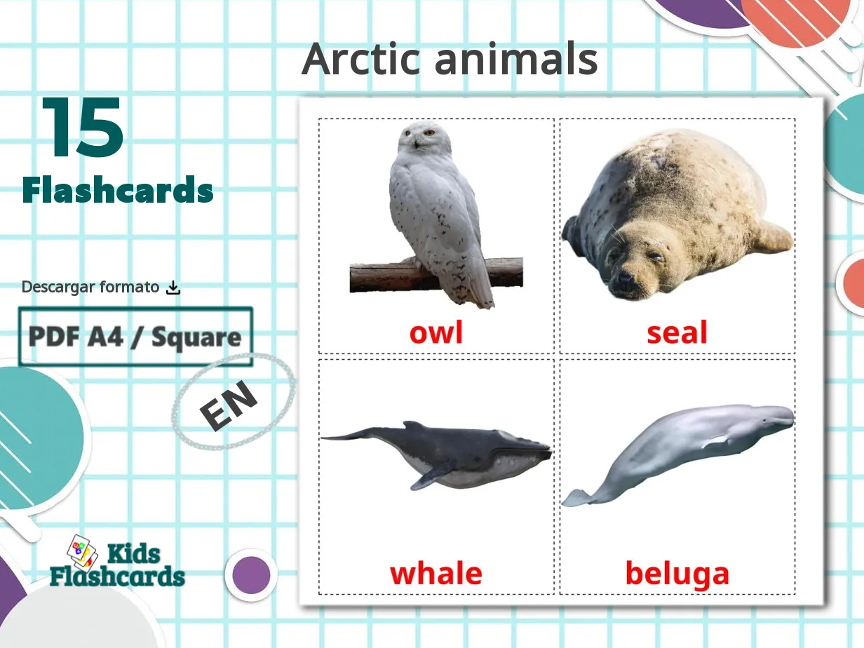 15 Tarjetas de Aprendizaje de Animales del Ártico GRATIS en PDF ...