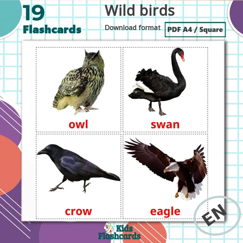18 Free Wild Birds Flashcards In English Pdf Files Animals Theme