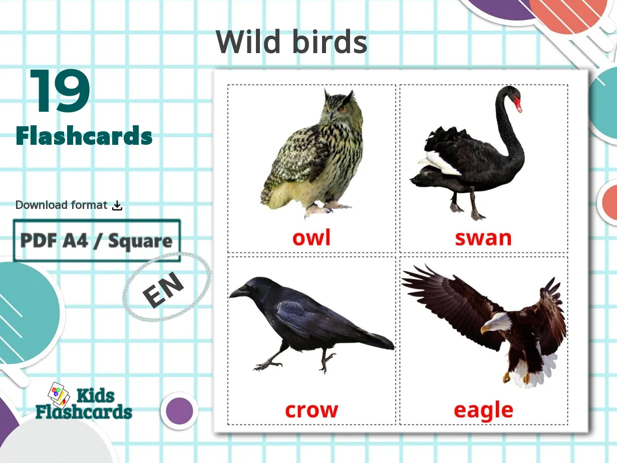 Printables Complete The Birds Flash Card Printable Pdf Bird Flashcards