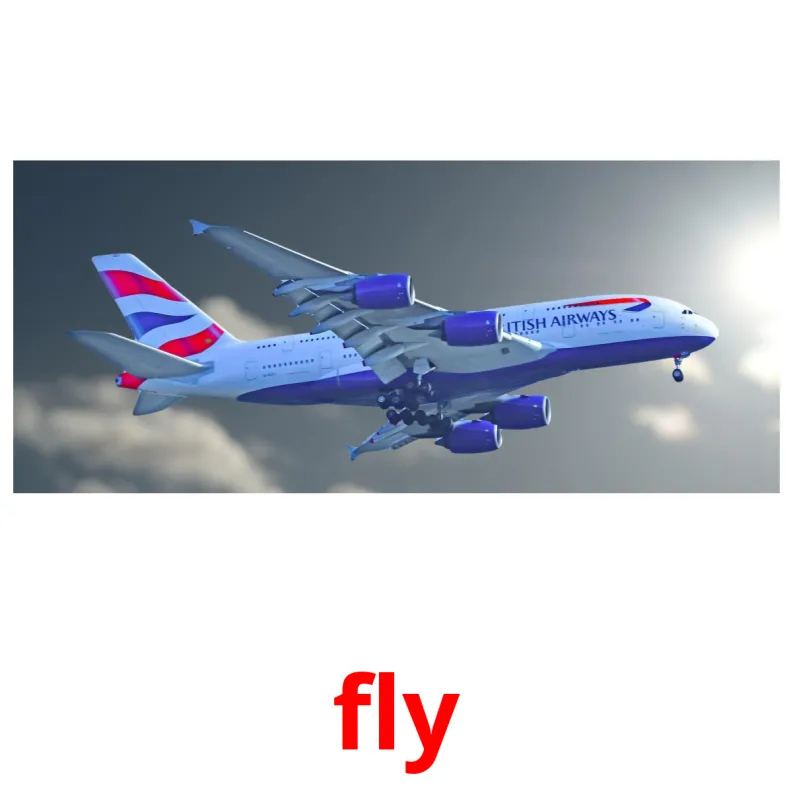 19 FREE Movement verbs Flashcards | PDF | English Words