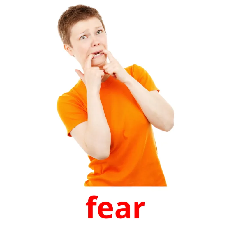 23 FREE State verbs Flashcards | PDF | English Words