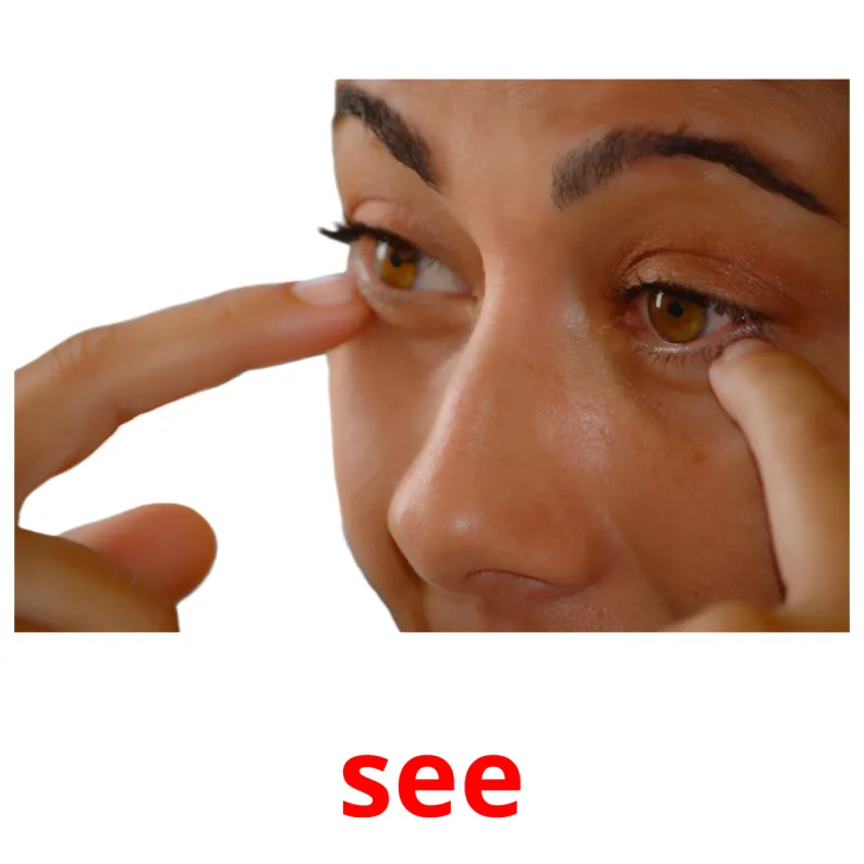 23 FREE State verbs Flashcards | PDF | English Words