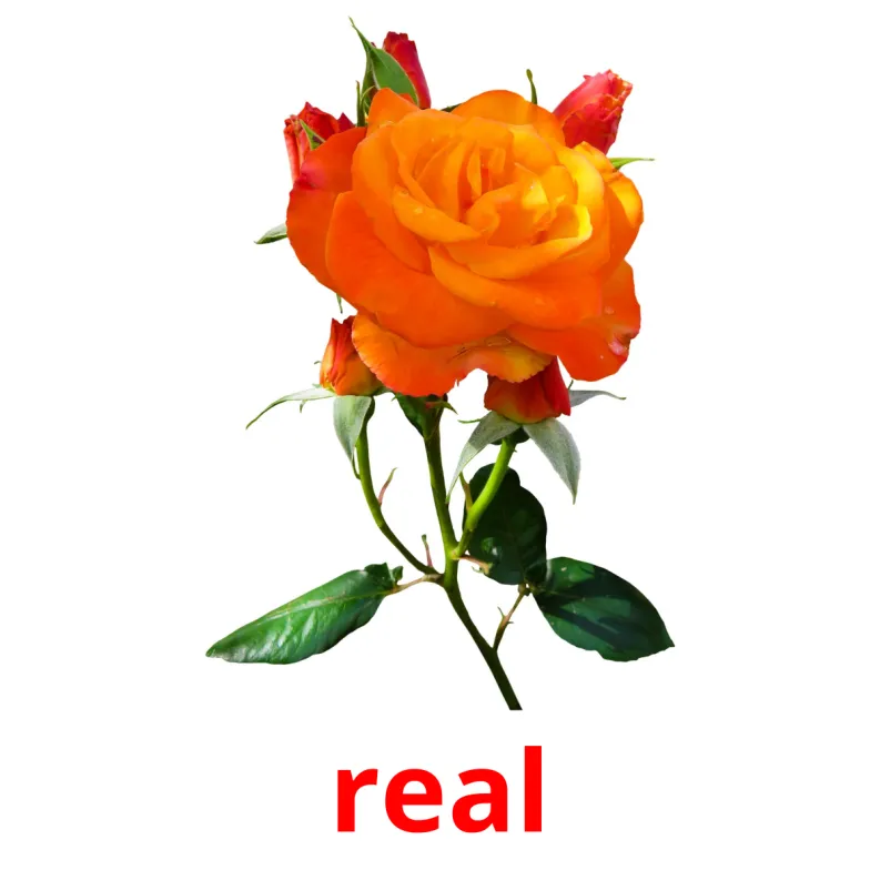 72 FREE Opposites Flashcards | PDF | English Words