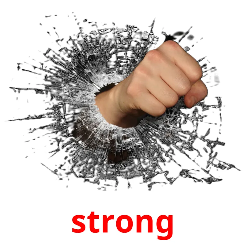 72 FREE Opposites Flashcards | PDF | English Words