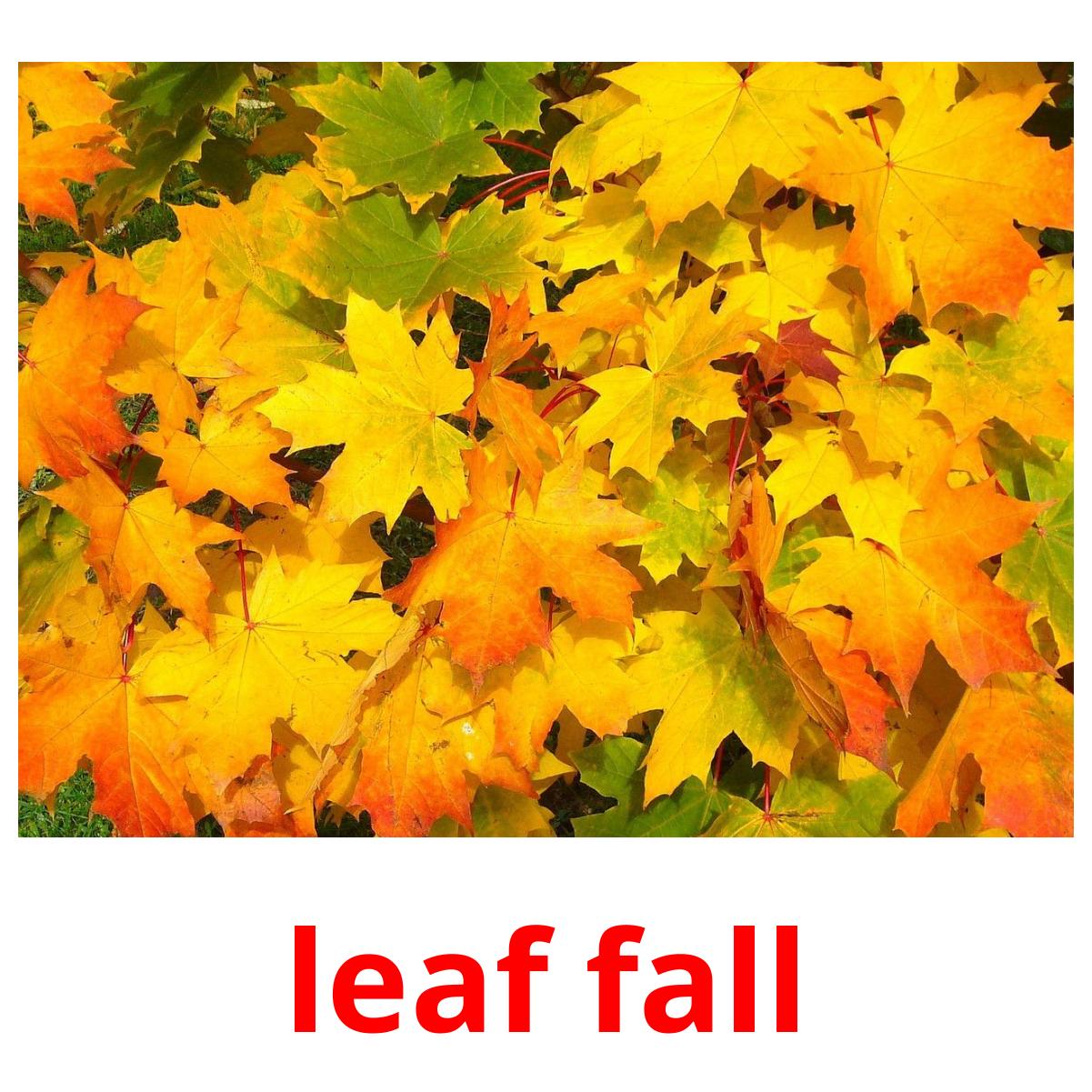 31 Free Weather Flashcards in english (PDF files)