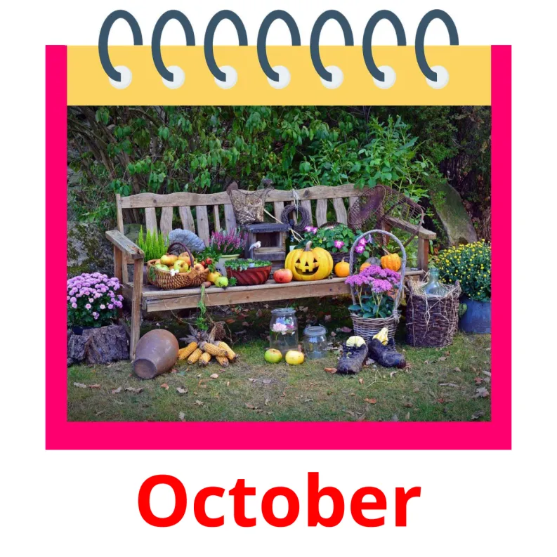 12 FREE Months of the Year Flashcards | PDF | English Words