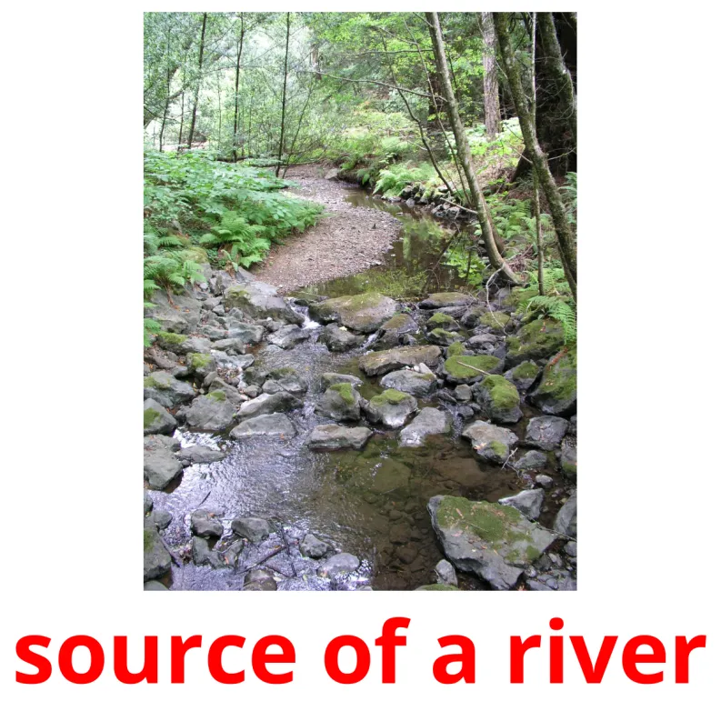 30 FREE Bodies of Water Flashcards | PDF | English Words