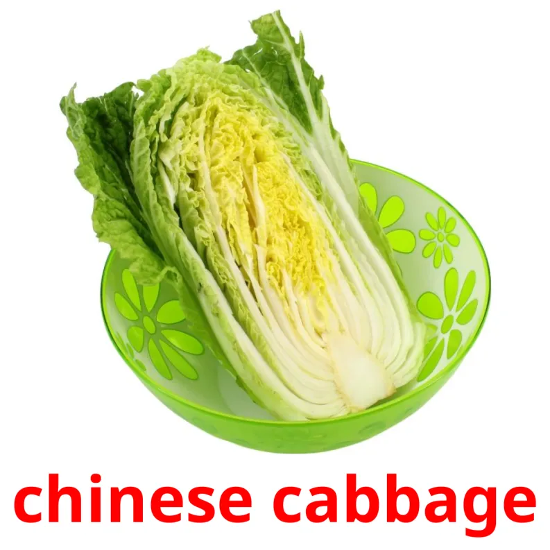 29 FREE Vegetables Flashcards | PDF | English Words