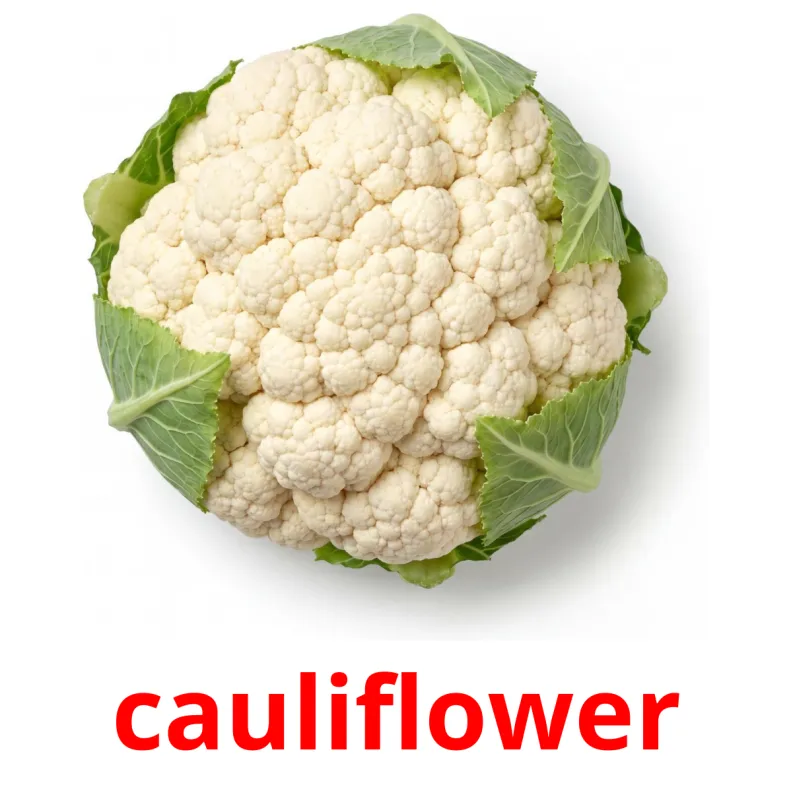 29 FREE Vegetables Flashcards | PDF | English Words