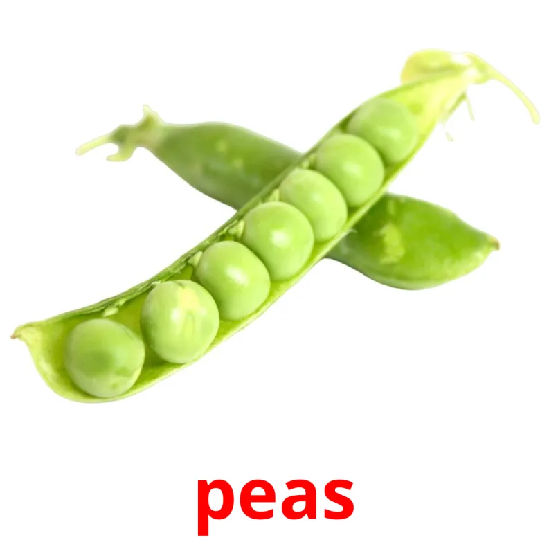 29 FREE Vegetables Flashcards | PDF | English Words