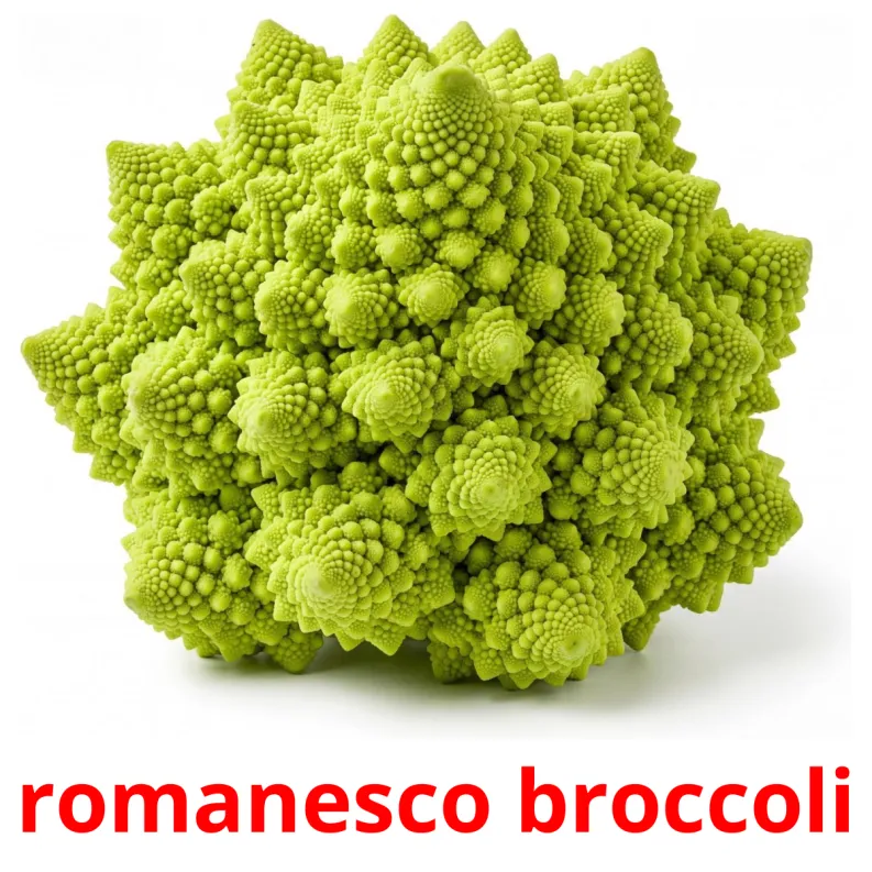 29 FREE Vegetables Flashcards | PDF | English Words
