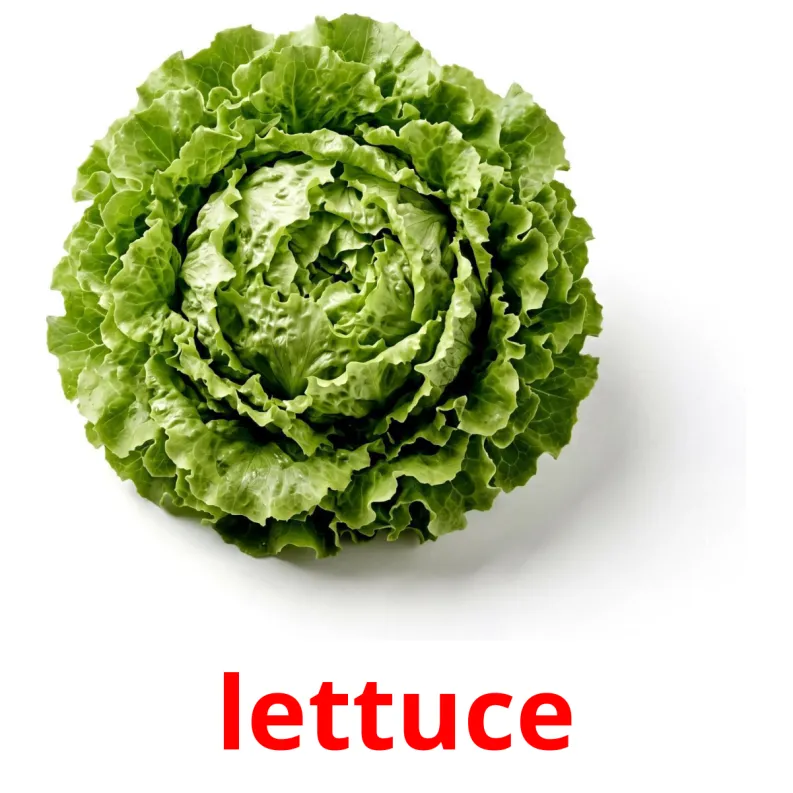 29 FREE Vegetables Flashcards | PDF | English Words