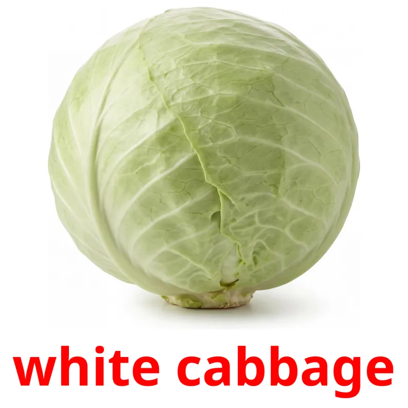 29 FREE Vegetables Flashcards | PDF | English Words