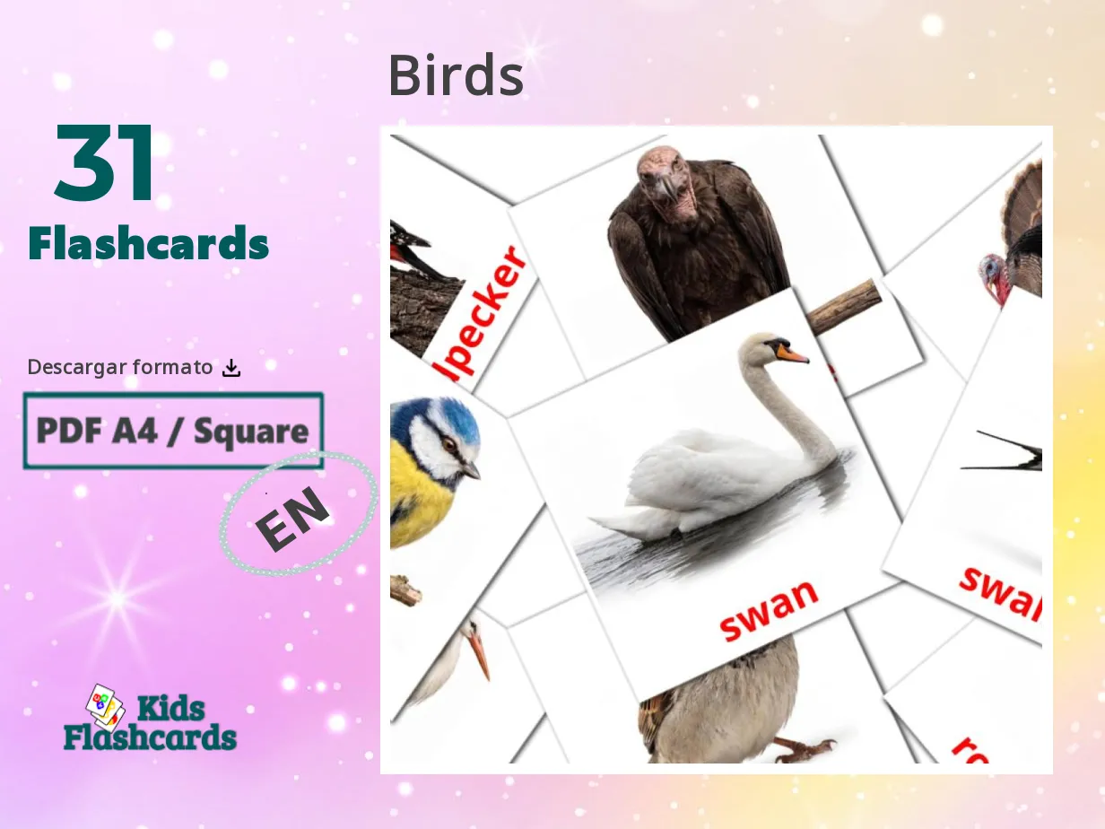 31 Tarjetas Didacticas de Aves para Imprimir GRATIS en Inglés | PDFs