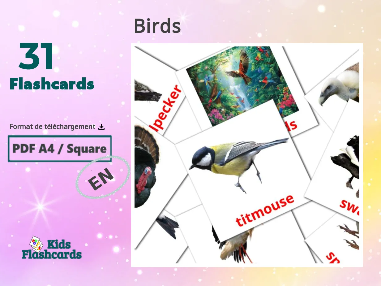 31 Cartes de vocabulaire Oiseaux GRATUITES à imprimer | PDF ...