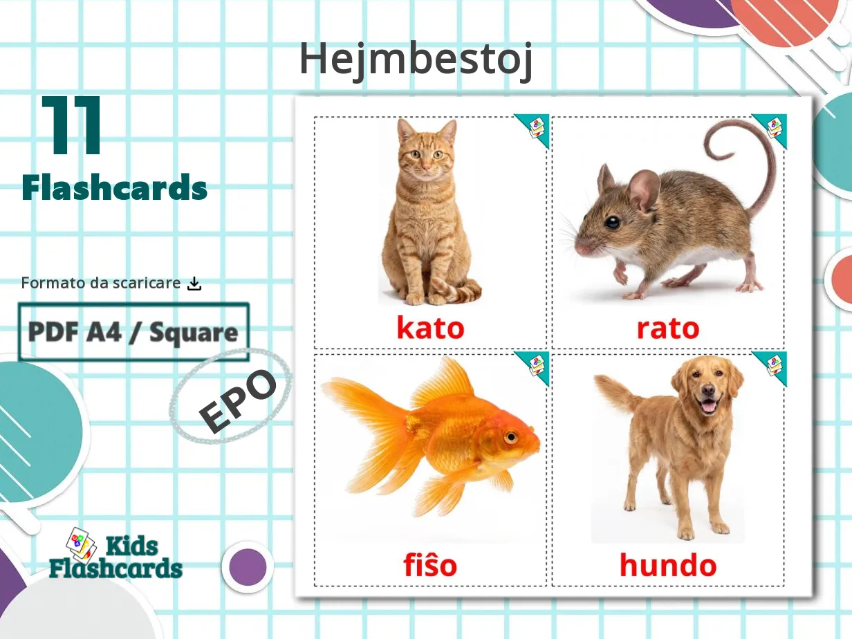 11 Flashcard GRATUITE sui Animali Domestici in 4 Formati PDF | Immagini ...